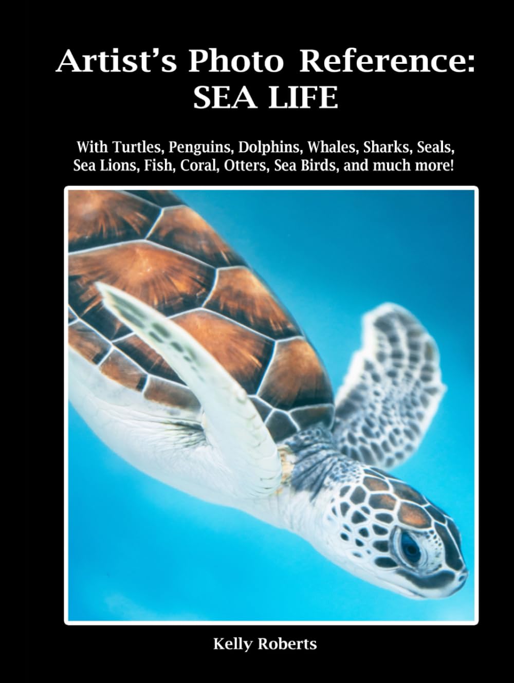 Amazon.com: Artist's Photo Reference: Sea Life: With Turtles, Penguins ...