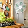 Amazon.com: Active Air ACF16 16 inch 3-Speed Wall-Mountable 90-Degree ...