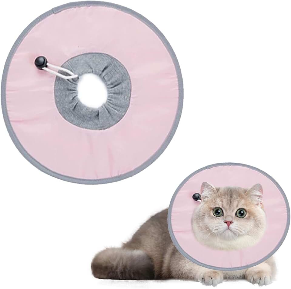 Amazon.fr : Collerettes Pour Chats - Collerettes Pour Chats / Hygiène ...