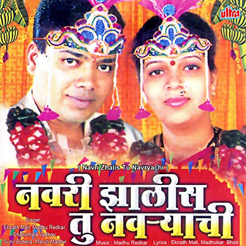 Navari Zalis Tu Navryachi by Sunil, Maruti, Eknath Mali, Madhu Redkar ...