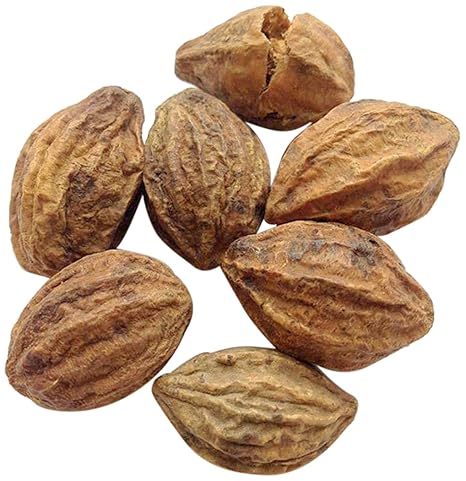 Buy R P INDIA HerbY haritaki/Kadukkai/harde whole/terminalia chebula ...