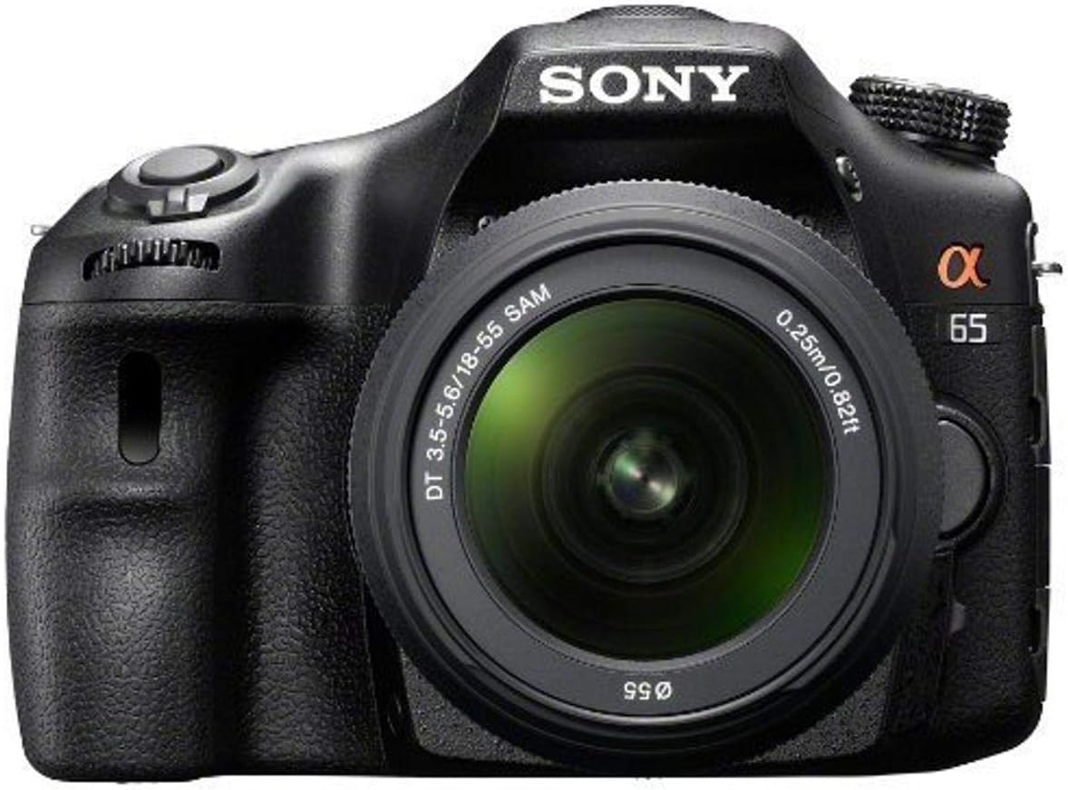 Amazon.com : Sony SLT-A65V 24.3 MP Translucent Mirror Digital SLR With ...
