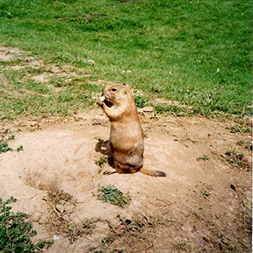 Play Introduction by SHAKY on Amazon Music