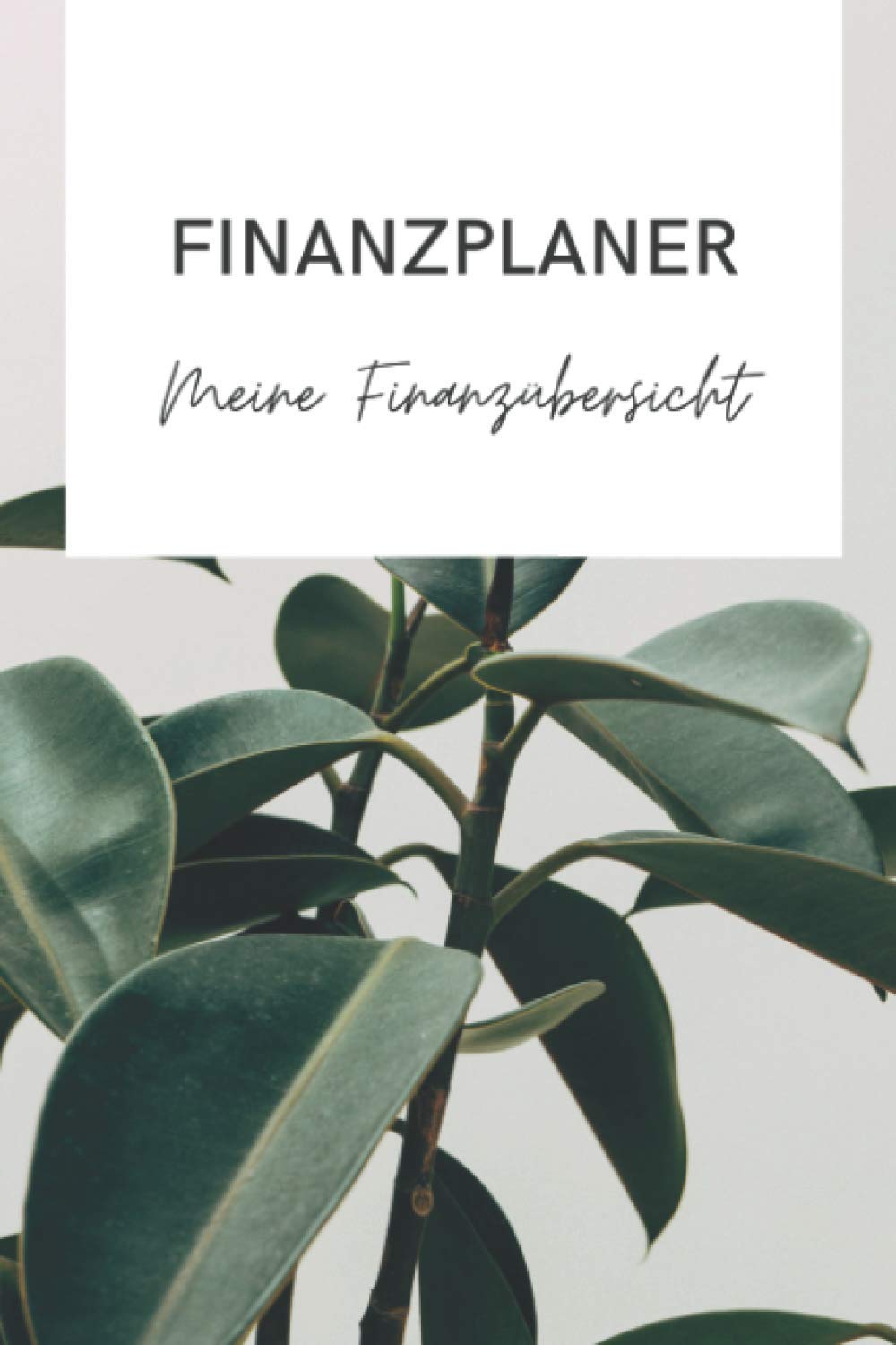 Finanzplaner meine Finanzübersicht: Haushaltsplaner A5 I Dokumentiere ...