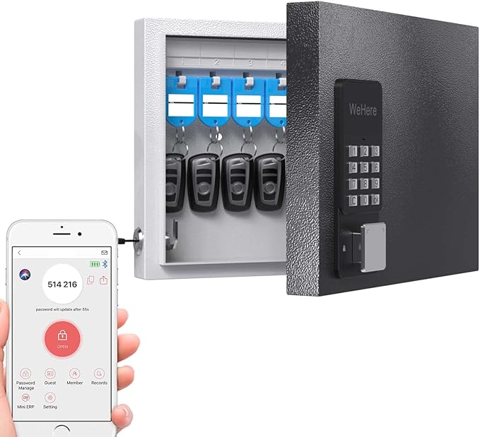Amazon.com: 16 Key Lock Box Wall Mount, Smart Key Cabinet, use One Time ...
