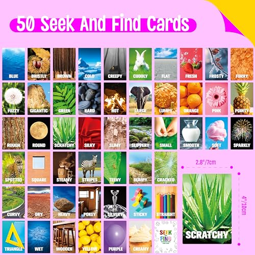 Snapklik.com : Seek And Find Scavenger Hunt Card Game, 50 Seek And Find ...