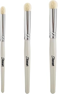 Amazon.com: Sdanart Drybrush Set Hobby Drybrush Paint Brush,Detail ...