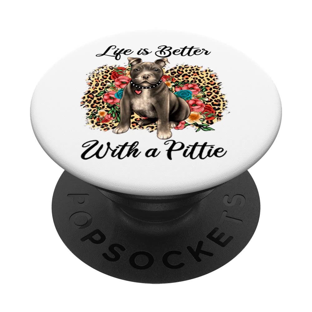 Pitbull Back In The Day