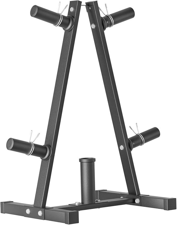 Bongkim Weight Tree and Rack - Olympic Weight Plate Holder, Home Gym ...
