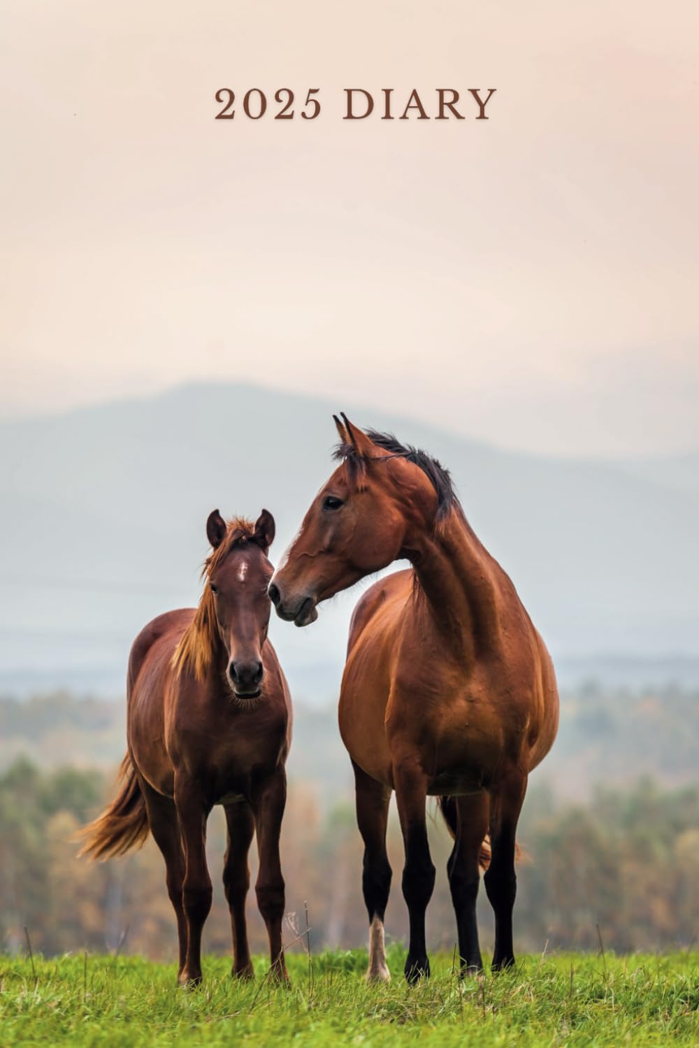 Horse Diary 2025: Week to view, 9 x 6 inch, Perfect gift for women, men ...