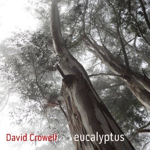 Play Eucalyptus by David Crowell on Amazon Music