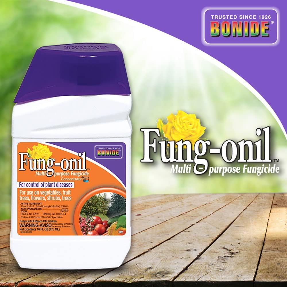Buy Bonide Fung-onil Multi-Purpose Fungicide, 16 oz Concentrate for ...