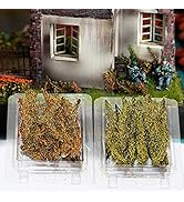 Amazon.com: 100 Pcs Static Grass Tuft Model Grass Tufts Railway ...