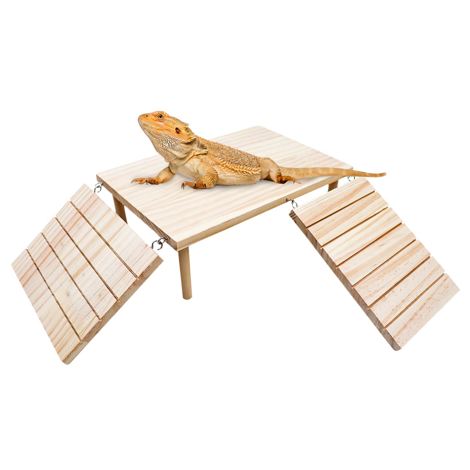 Amazon.com : Bearded Dragon Tank Accessories, Wooden Basking Platform ...