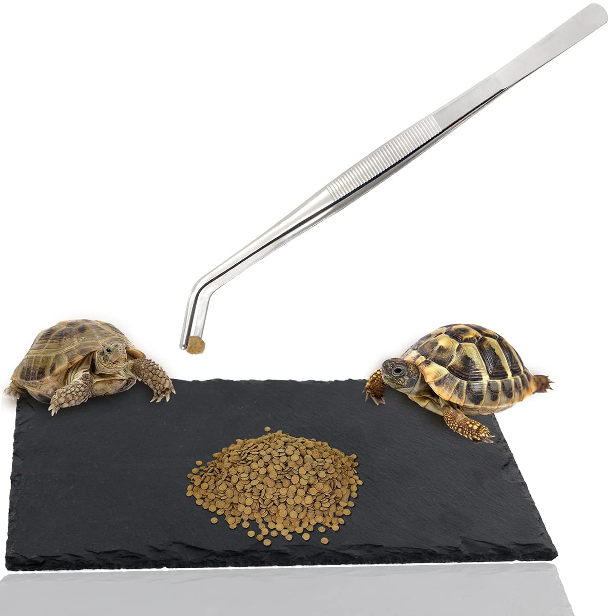 Buy Linifar Turtle Basking Rock Tortoise Bathing Plate Reptile Platform ...