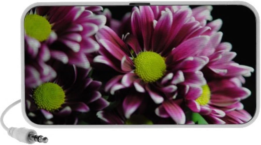 Amazon.com: Maroon Mums Close up Mini Speakers : Musical Instruments