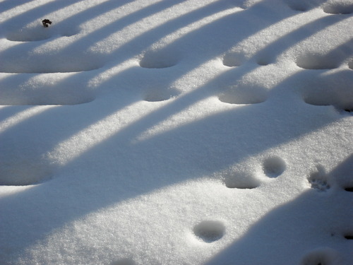 Amazon.com : Samsung SL30 10MP Digital Camera with 3x Optical Zoom and ...