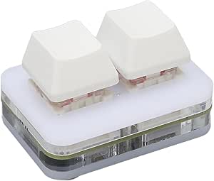 Amazon.com: Zyyini 2 Key Macro Keyboard, Mechanical Gaming Keypad, USB ...