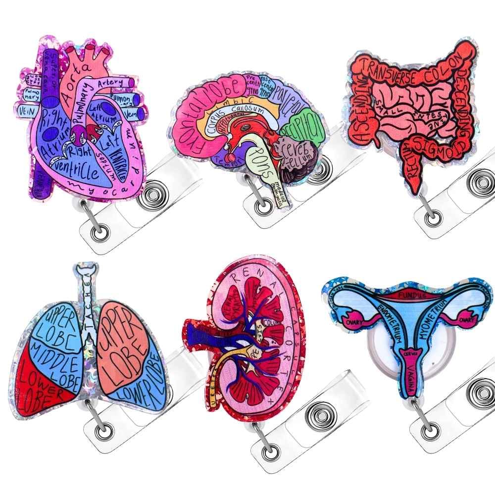6PC Anatomical Organs Nurse Badge Reels Glitter Retractable Clips ...