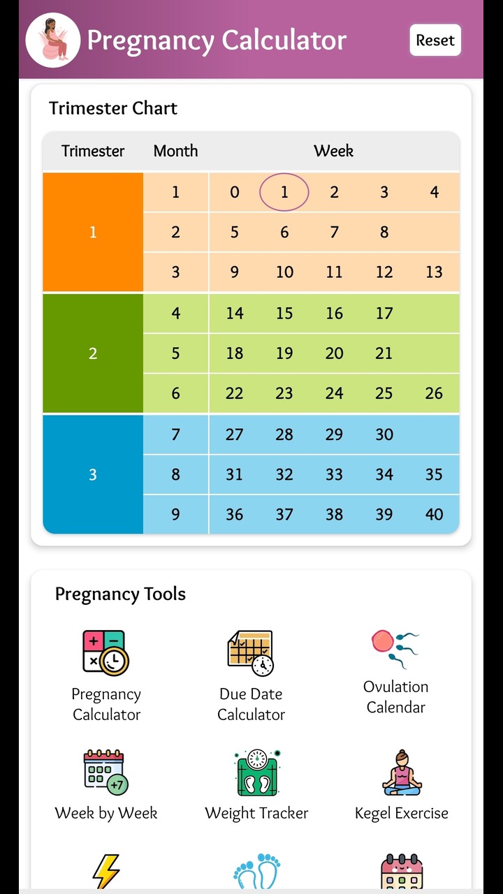 Week By Week Calculator