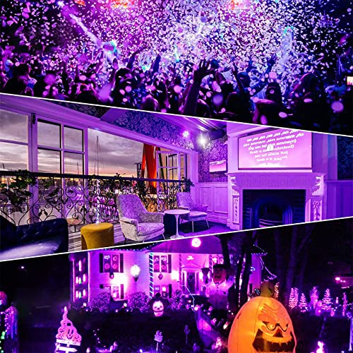 Las Mejores Luces LED Moradas para Ambientes Cálidos - El Multimetro