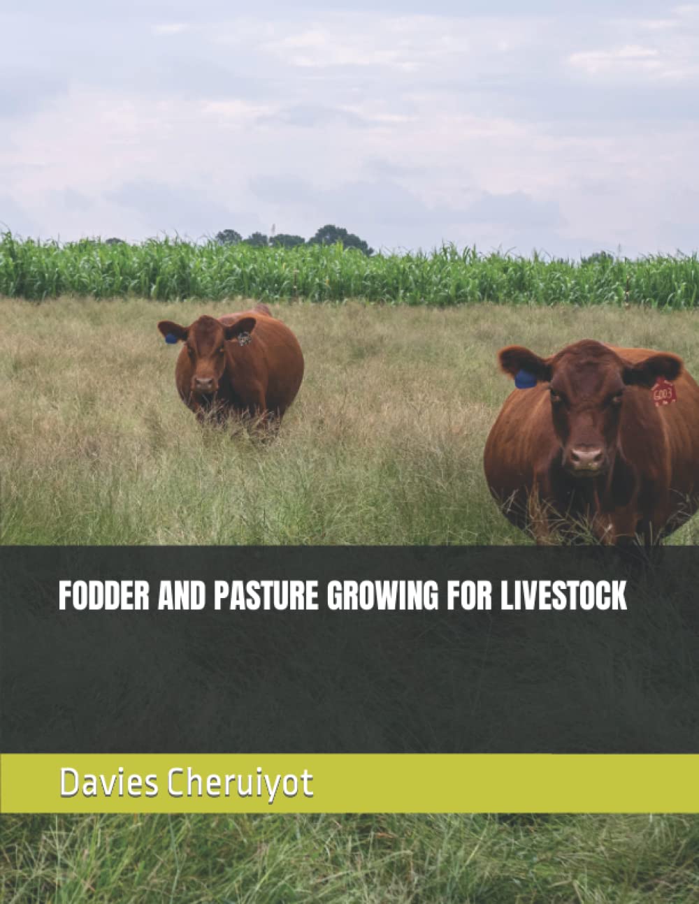 FODDER AND PASTURE GROWING FOR LIVESTOCK: Amazon.co.uk: Cheruiyot ...