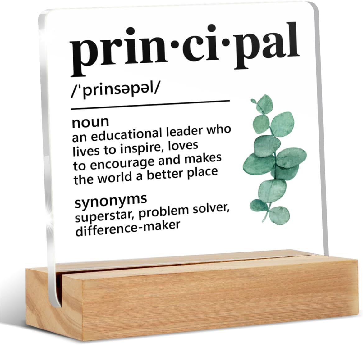 Amazon.com: School Principal Gift, Principal Gift for Women Men, School ...