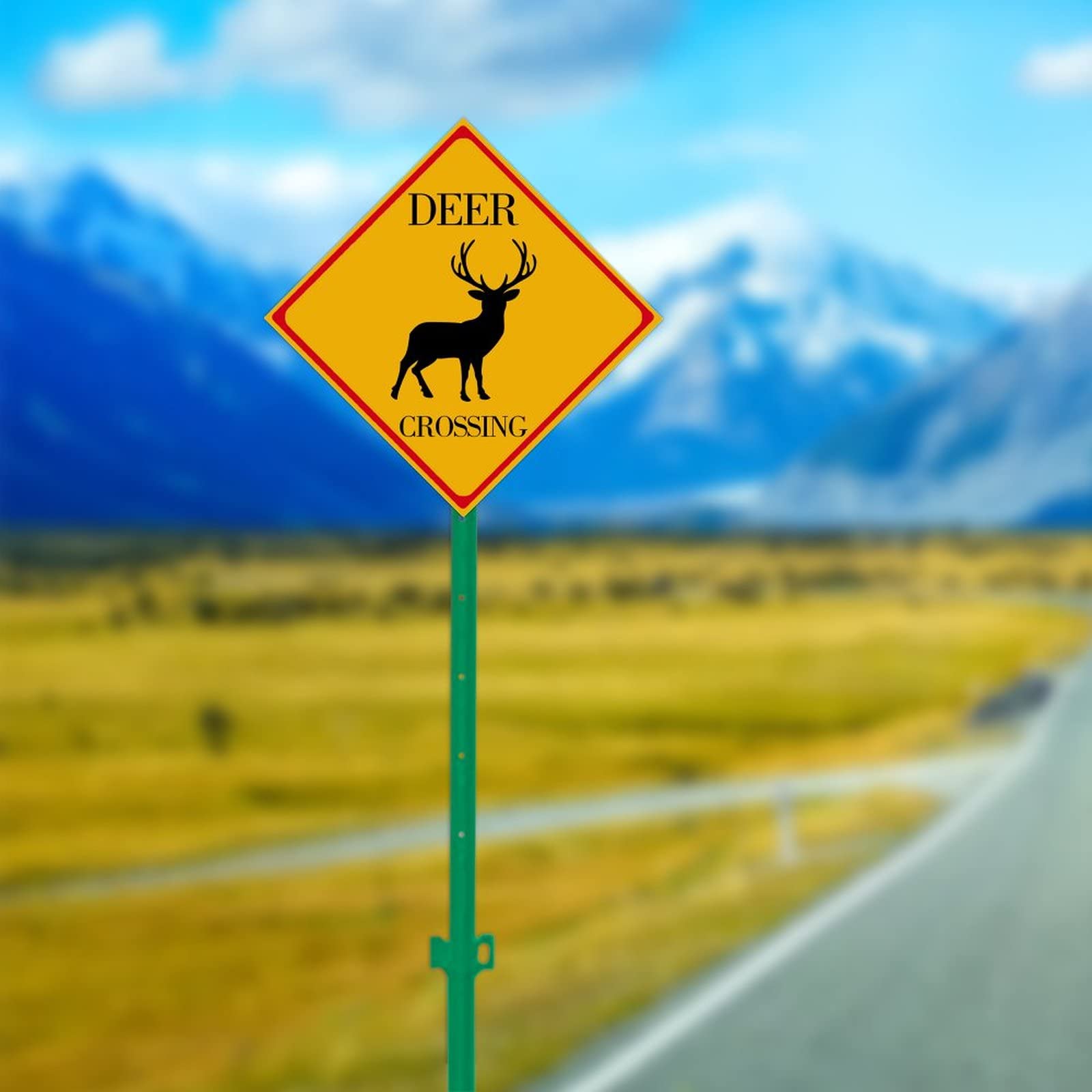 Dumb Road Signs Dumb Road Signs
