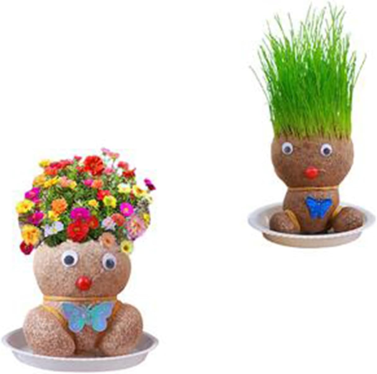 Amazon.com : Growing Grass Head Doll Plant | Grass Head Plant Growing ...