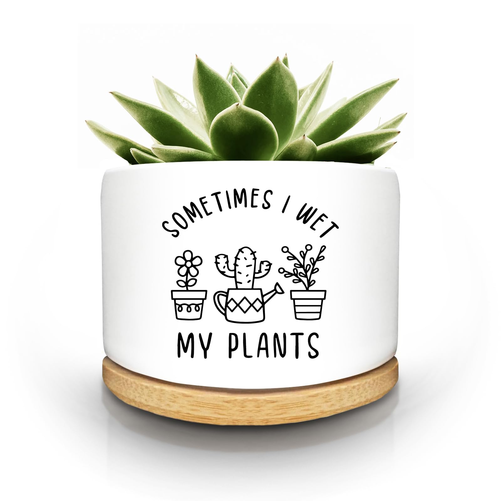Snapklik.com : Funny Succulent Plant Pots, Small Ceramic Cactus Planter ...