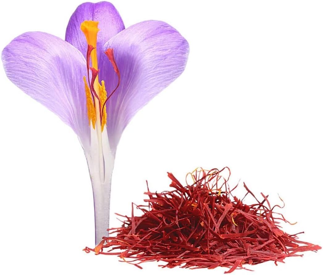 Amazon.com : Organic Crocus Saffron Sativus Garden Plant Hardy Corms ...