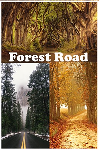 Forest Road: Photobook of amazing of variety Forest Road (photobook ...