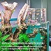 Fish Elevator Inverted Aquarium, Transparent Above Water Tank, Acrylic ...