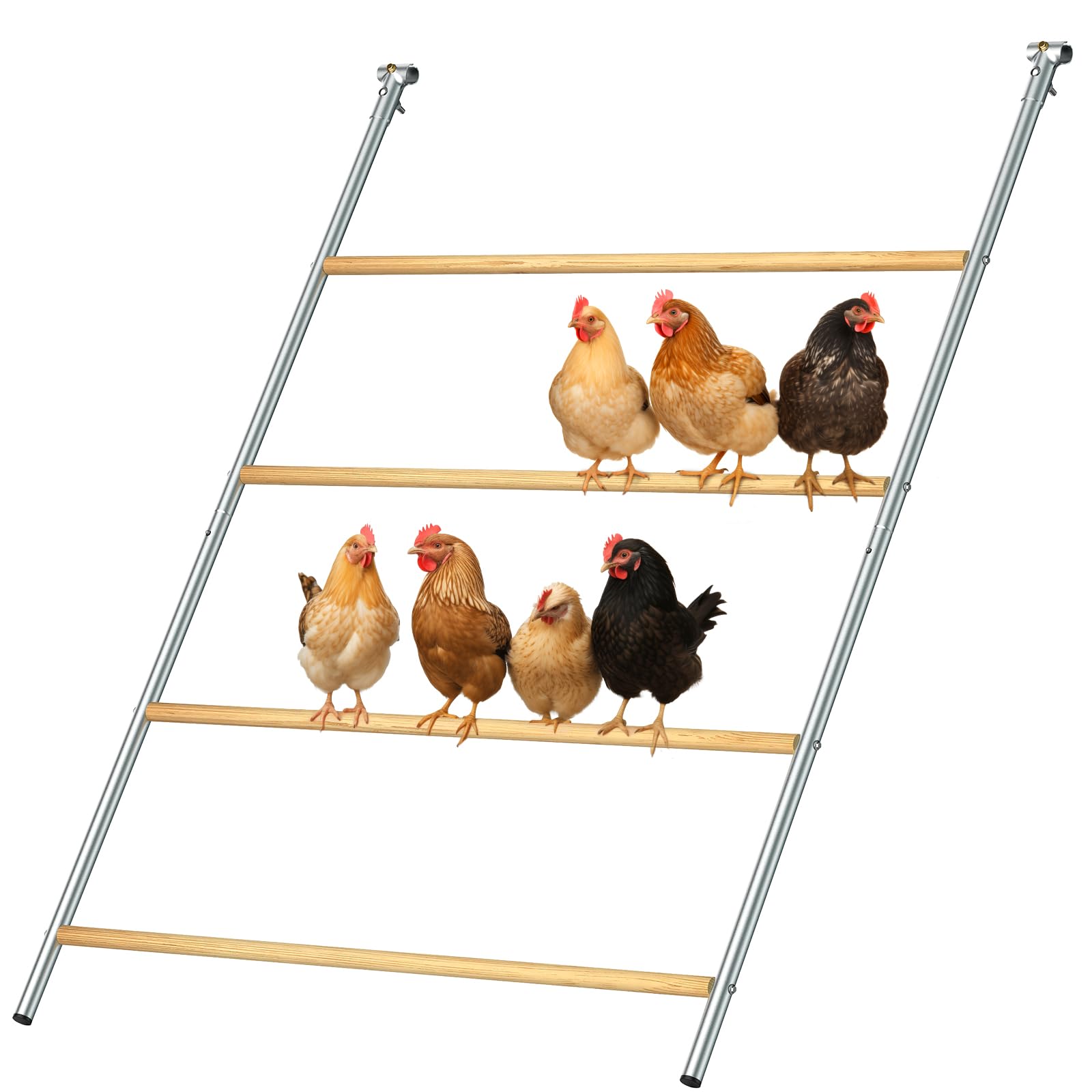 Large Chicken Roosting Ladder for Coop, 55"x40" Metal, 1PC Ladder: 1 ...