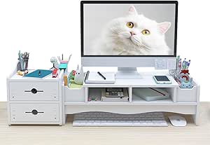 Amazon.com: KUAIYU Monitor Stand- 2 Tier Laptop Stand With Drawers,With ...