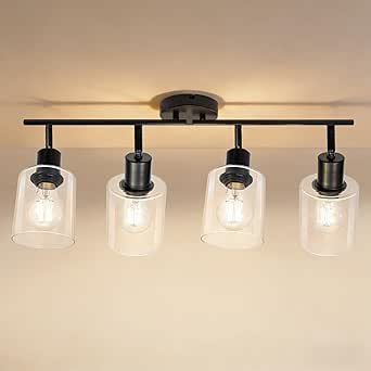 HiBay 4-Light Black Track Lighting Fixture, Ceiling Wall Mount ...