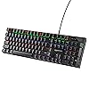 Amazon.in: Buy DGG YK600 RGB 60% Compact Mechanical Keyboard,Wired and ...
