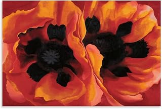 Mastering Georgia O'keeffe's Poppy Painting Techniques: A Step-By-Step ...