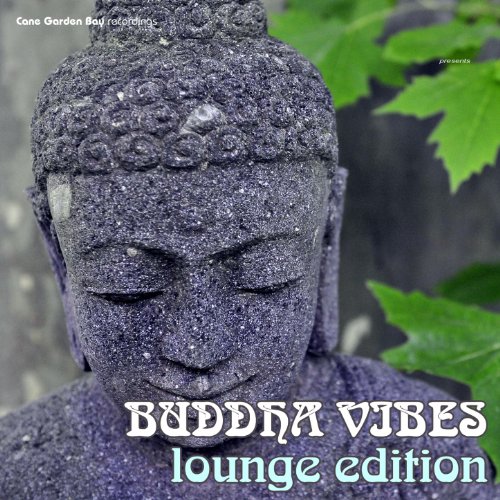Amazon.com: Buddha Vibes Lounge Edition : VARIOUS ARTISTS: Digital Music