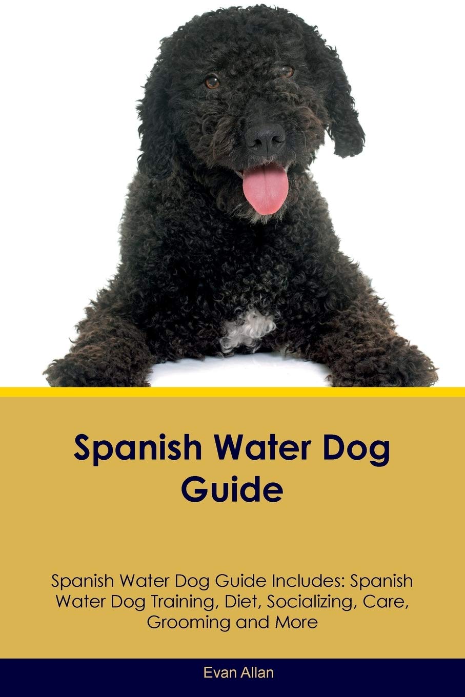 How Much Does A Spanish Water Dog Cost