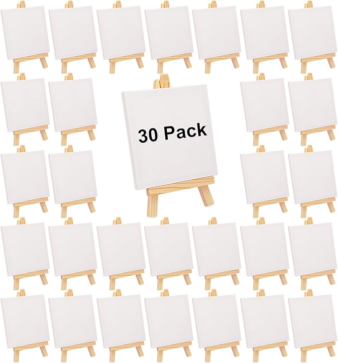 Amazon.com: Mini Canvases with Easel Sets for Painting, Set of 30 ...