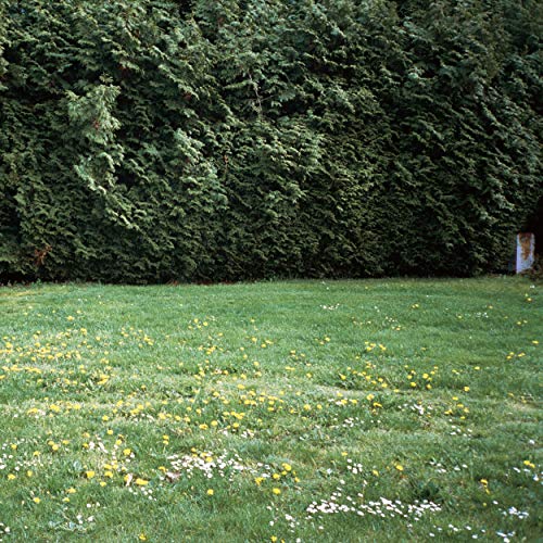 Amazon.com: Ghosts : mitsume: Digital Music