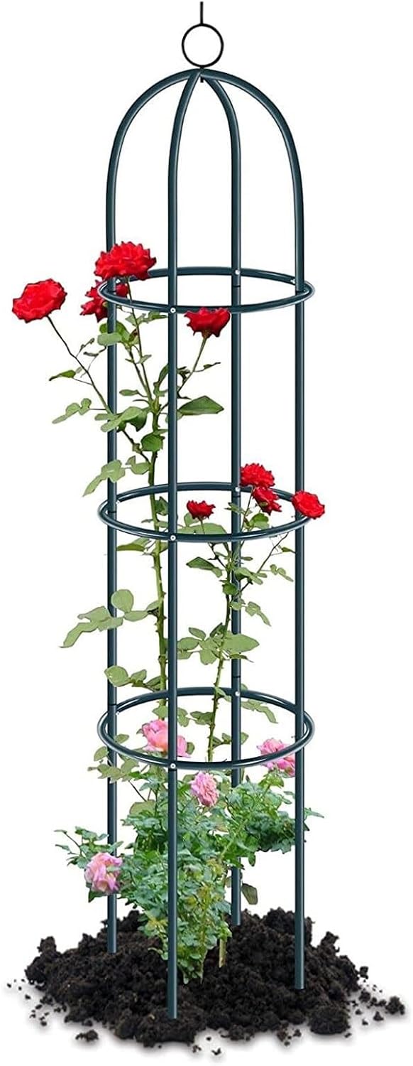 Amazon.com : DIFHHD Metal Garden Obelisks Trellis for Climbing Plants ...