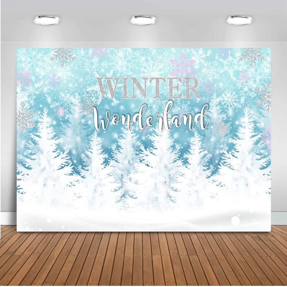 Amazon.com : JKQ Blue Winter Wonderland Backdrop Banner 73 x 43 Inch ...