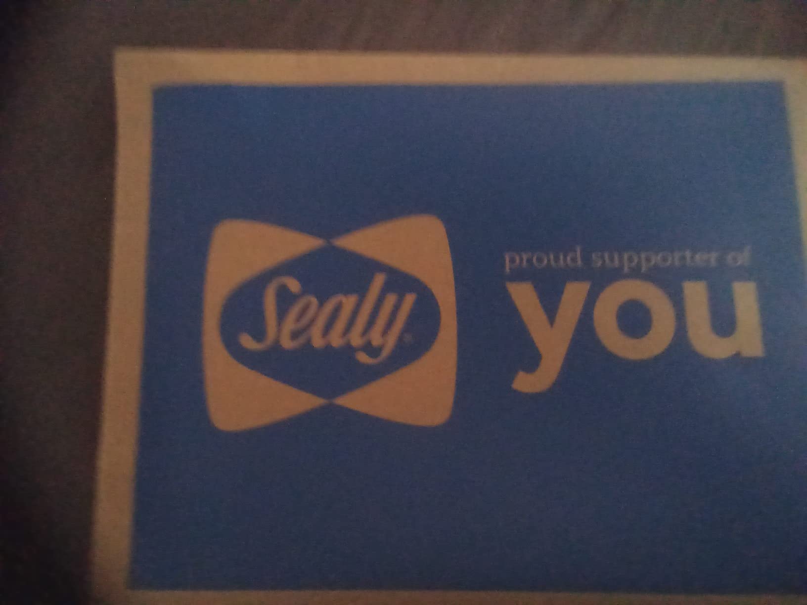 Amazon.com: Sealy Performance Comfort Cotton Pillow Protector, Standard ...