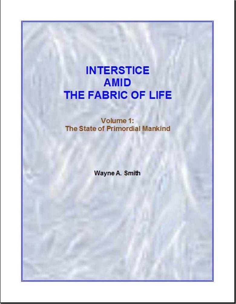 Interstice Amid the Fabric of Life: Volume 1 : The State of Primordial ...