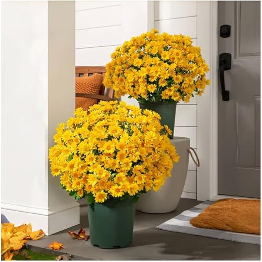 Amazon.com: KEAOZA Artificial Mums for Outdoors, Faux Sunset Mum ...