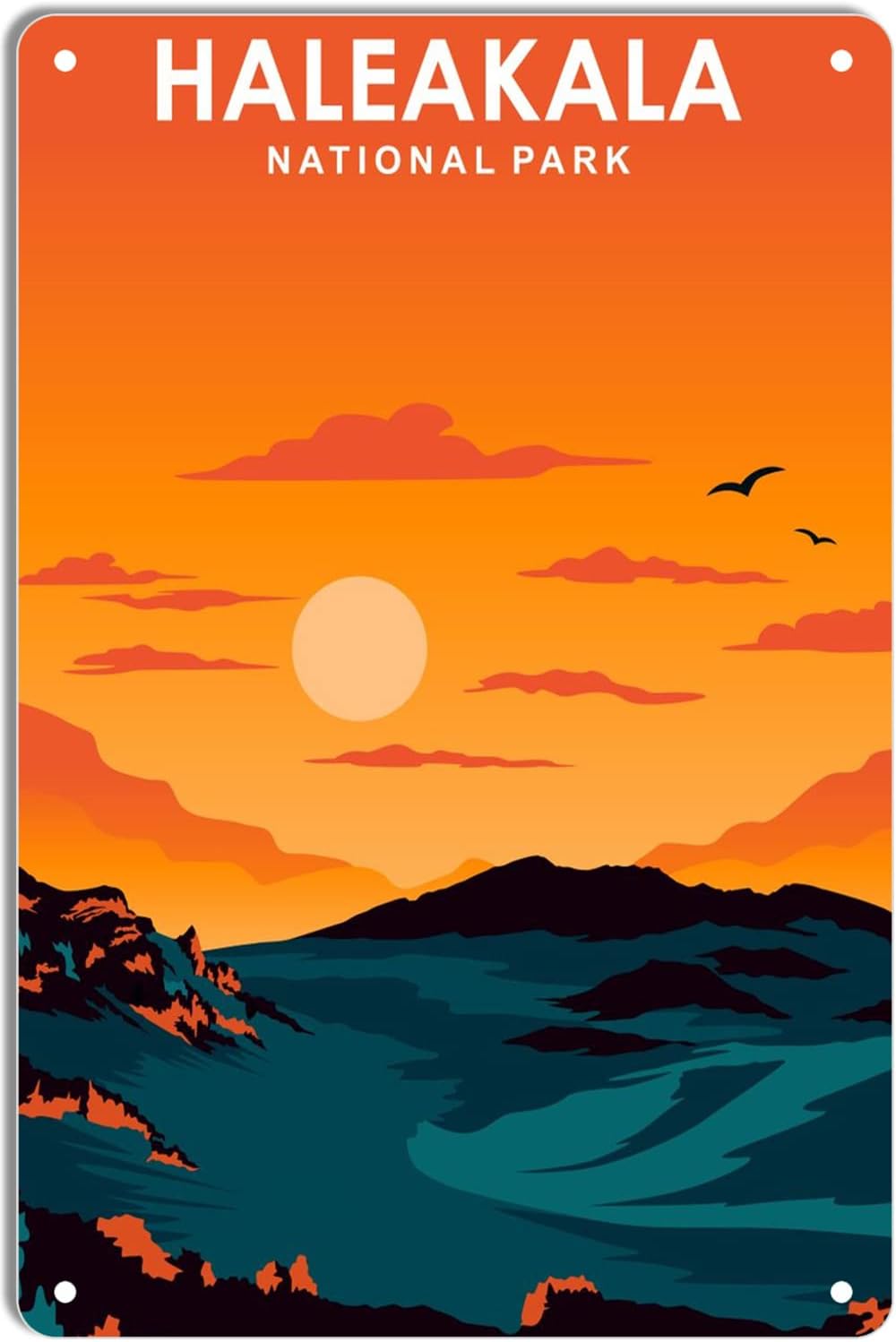 Amazon.com: STOOKI Retro Tin Sign,Haleakala National Park,Metal Plaque ...