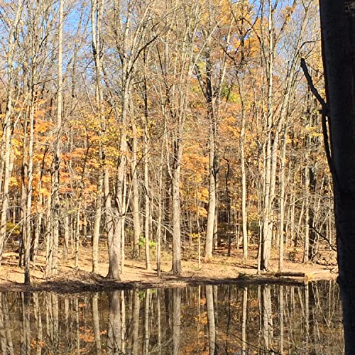 Amazon.co.jp: Our Heritage : Fred Shaw: デジタルミュージック