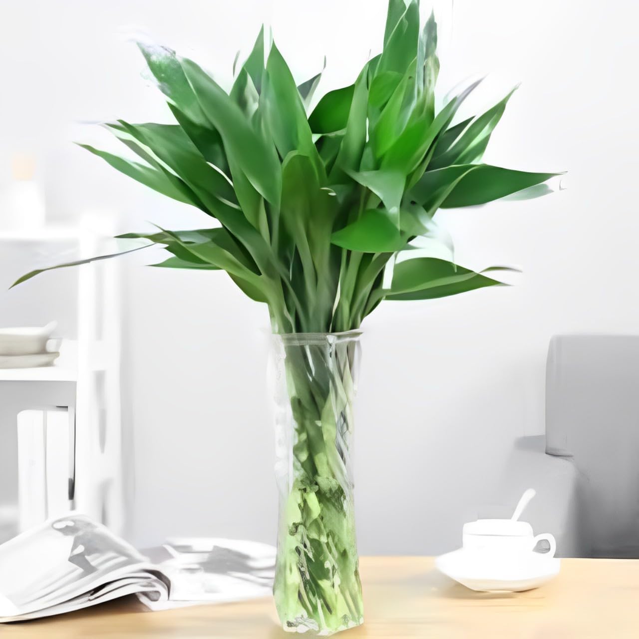 Dishita - Go Green Live Lucky Bamboo Straight Sticks | Combo Pack of 5 ...